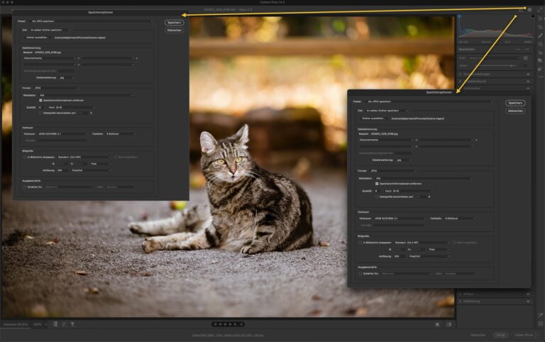Camera Raw in Photoshop & Bridge öffnen | Fotografen Andenmatten Soltermann